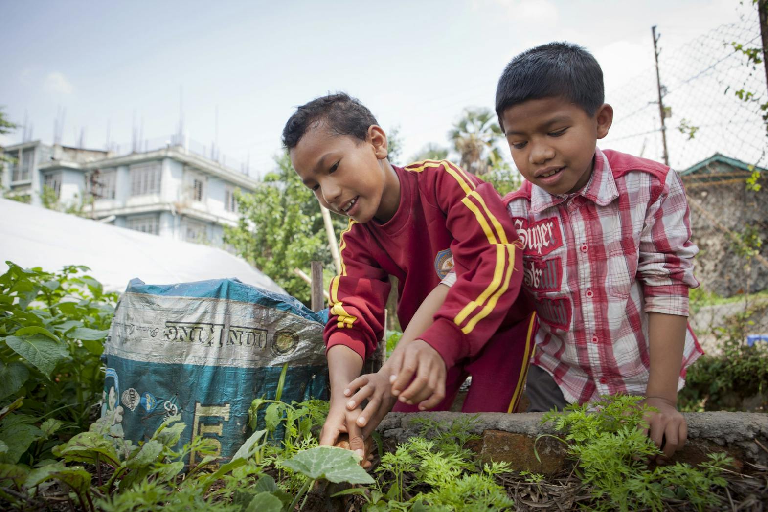 Nieuws berichten, artikelen en verhalen | Liliane Fonds